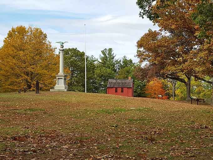 Autumn leaves blanket the hillside like nature's own patchwork quilt in gold and crimson.