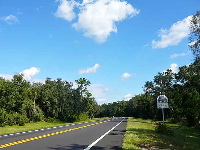 That scenic highway marker isn't kidding &ndash; towering pines and Spanish moss create nature's perfect cathedral overhead.