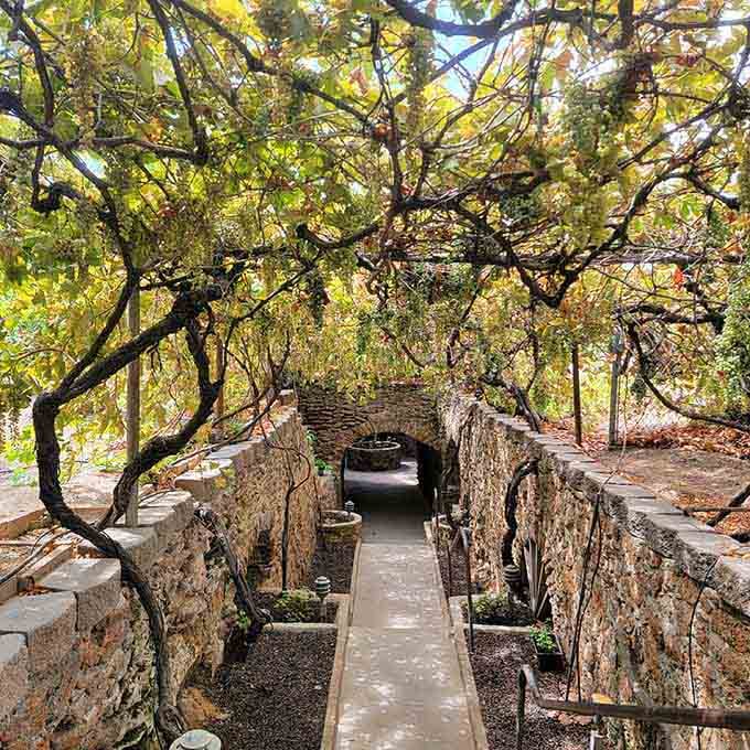 Underground archways reveal a hidden garden world where sunlight filters through skylights onto thriving fruit trees below.