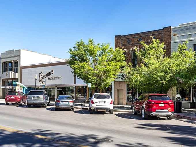 Tree-lined streets frame local shops where you can still park right in front without circling for twenty minutes.