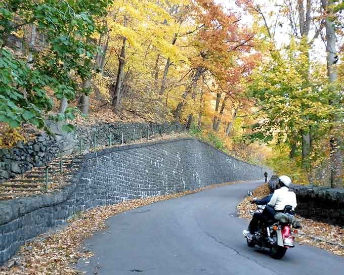 A motorcyclist cruises through fall's grand finale, where every curve reveals another burst of seasonal color.