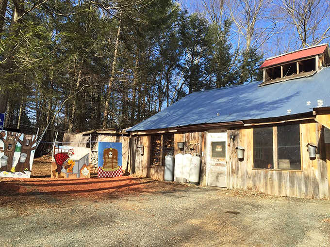 This rustic sugar house nestled among the pines looks like something from a Norman Rockwell painting come to life.
