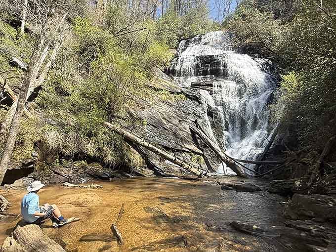 Someone found the perfect meditation spot at Kings Creek Falls, where rushing water provides better therapy than any office visit.