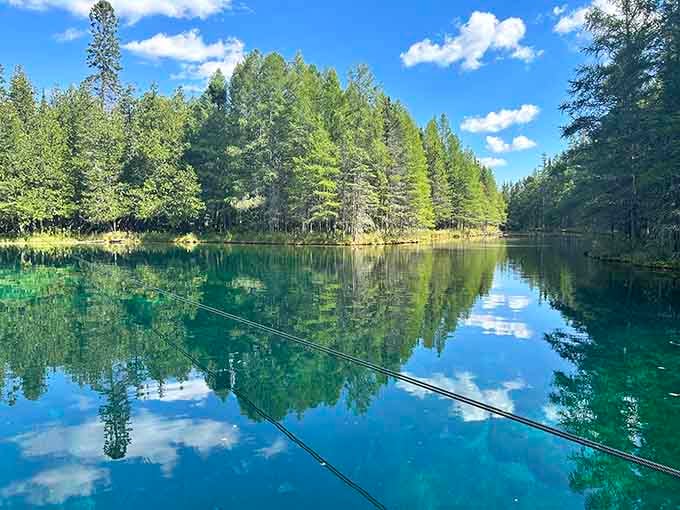 Water so clear it's like looking through liquid glass into nature's own perfectly preserved time capsule.