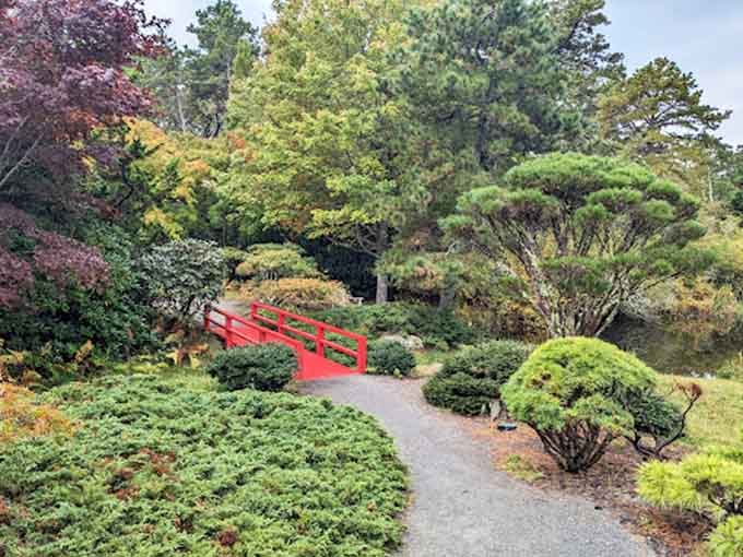 Lush green foliage surrounds a vibrant red footbridge at Mytoi Japanese Gardens, offering you a peaceful path for a scenic stroll.