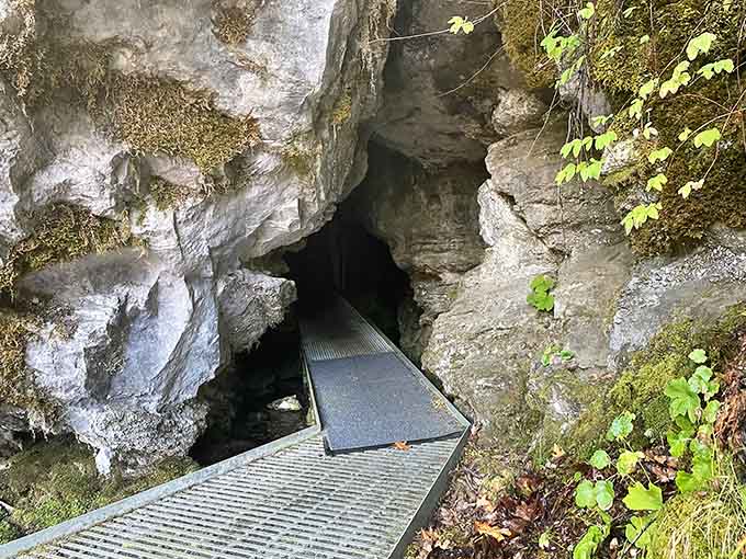 The marble entrance beckons you underground where water has sculpted chambers more impressive than any cathedral you've seen.