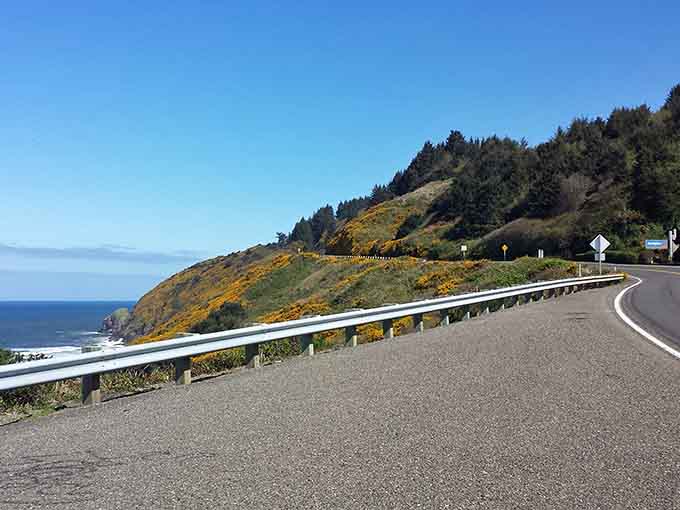 Where the road hugs the cliff and wildflowers paint the hillside gold, the Pacific Ocean puts on its daily show.