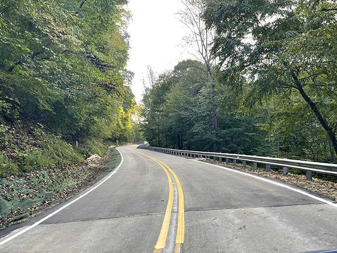 Forest tunnels and winding curves make every turn feel like unwrapping nature's next surprise gift.