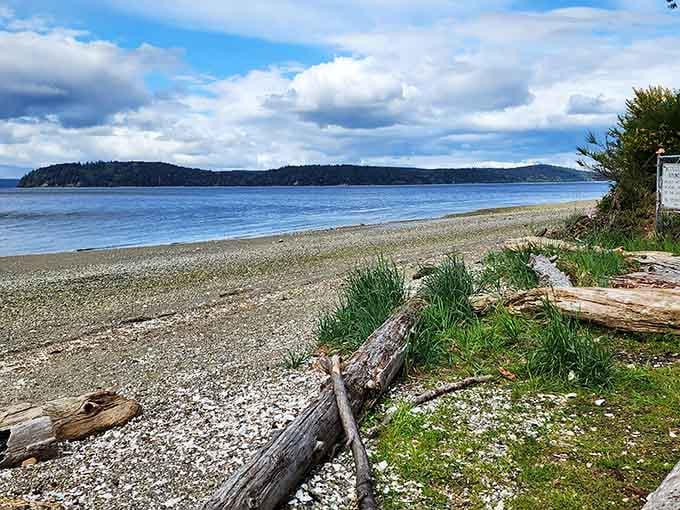 Driftwood frames this pebbled shore where Hood Canal's calm waters meet forested hills in perfect harmony.
