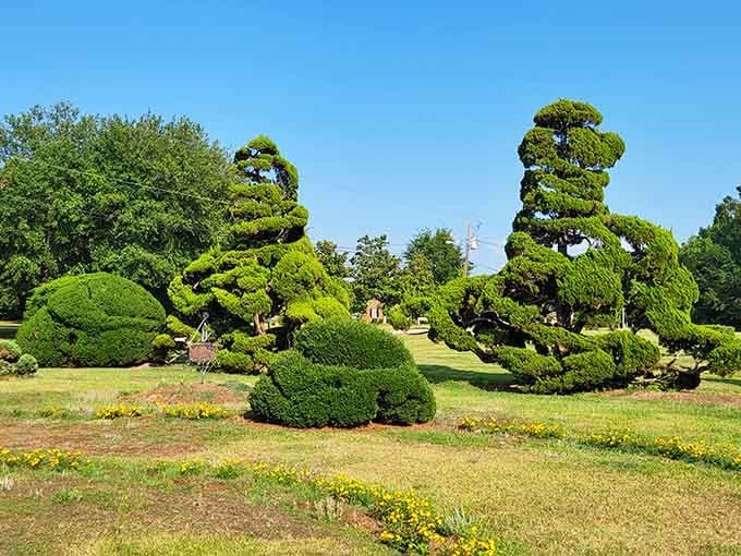 These sculpted bushes look like Dr. Seuss designed a garden after drinking too much sweet tea.