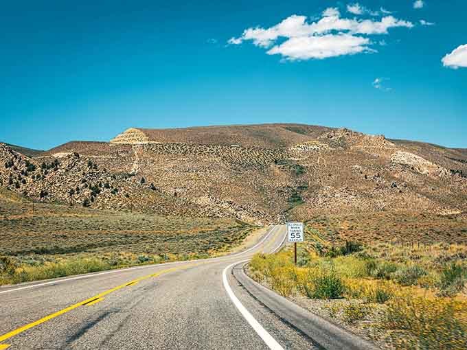 Route 395 stretches toward distant peaks like a ribbon someone carefully laid across the high desert.