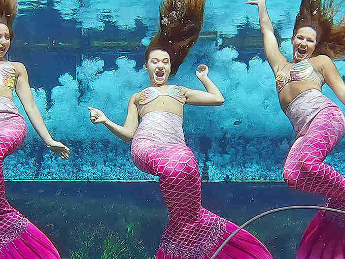 These mermaids are having way more fun than Ariel ever did, and nobody's trading their voice for legs.