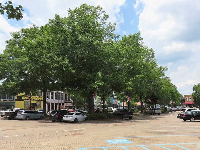 Massive shade trees anchor a downtown square where parking is plentiful and prices remain refreshingly reasonable.