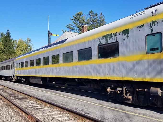 The classic passenger car gleams in yellow and silver, ready to transport you through wilderness like a time machine.