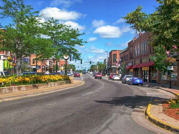 Tree-lined streets and cheerful flower beds prove that even Halloween's capital knows how to shine in summer sunshine.