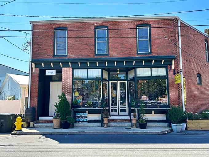Sunlight catches the windows of this downtown gem where scratch-made desserts emerge from ovens all day long.
