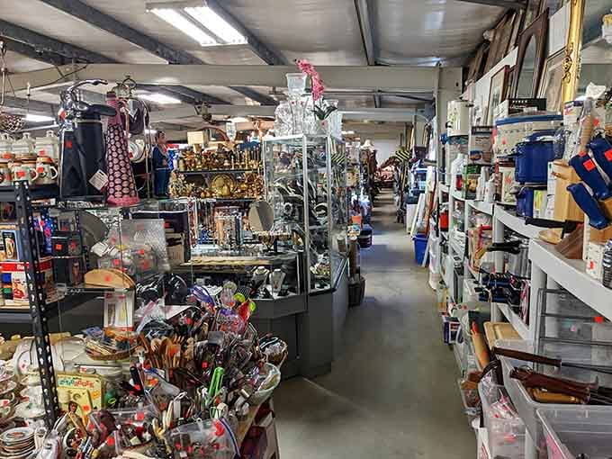 Long aisles stretch endlessly forward, inviting you to explore every corner of this climate-controlled wonderland.
