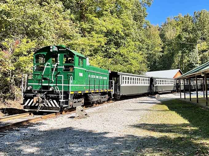 That bright green engine nestled among autumn trees proves some locomotives wear their colors with serious pride.