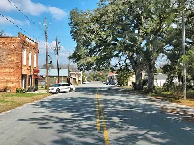 That magnificent oak tree has been watching over this quiet street longer than any of us have been alive.