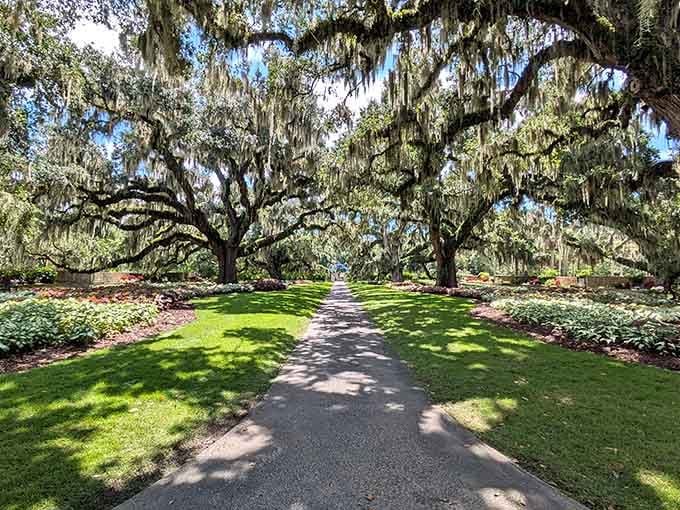 When trees create their own cathedral ceiling, you know you've found a place worth slowing down for.