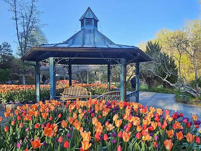 Tulips in soft, glowing hues surround a Victorian gazebo, creating a scene that feels lifted straight from a romantic painting.