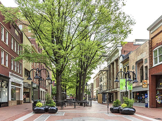 This pedestrian mall stretches ahead like an invitation to slow down and actually enjoy your day.