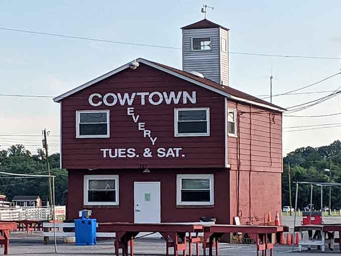 The rustic barn-style building with its weather vane stands proud, marking the spot where shopping meets authentic country charm.