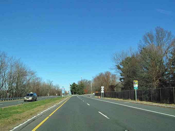 Blue skies and endless pavement invite you to explore where forests meet the horizon in peaceful solitude.