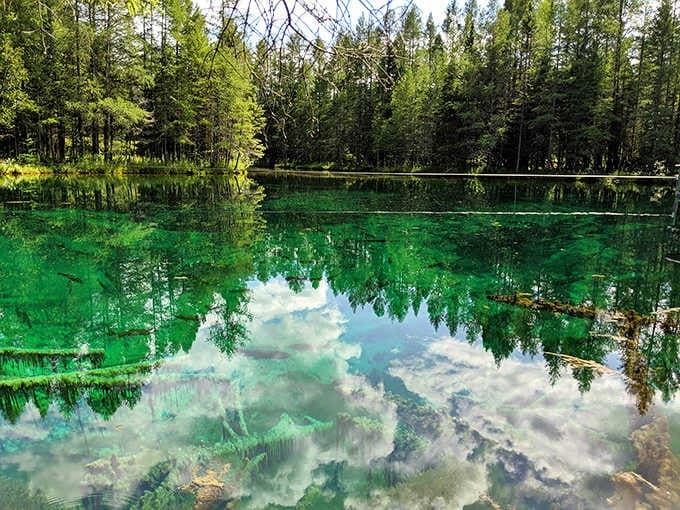 This emerald spring reveals every pebble forty feet down, making snorkeling gear seem almost unnecessary for the view.