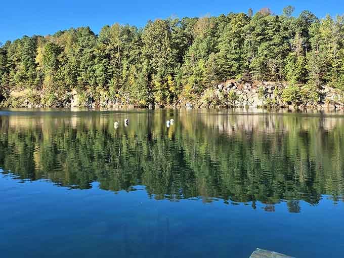 Trees mirror themselves perfectly in the still water, doubling your nature fix without charging you extra.