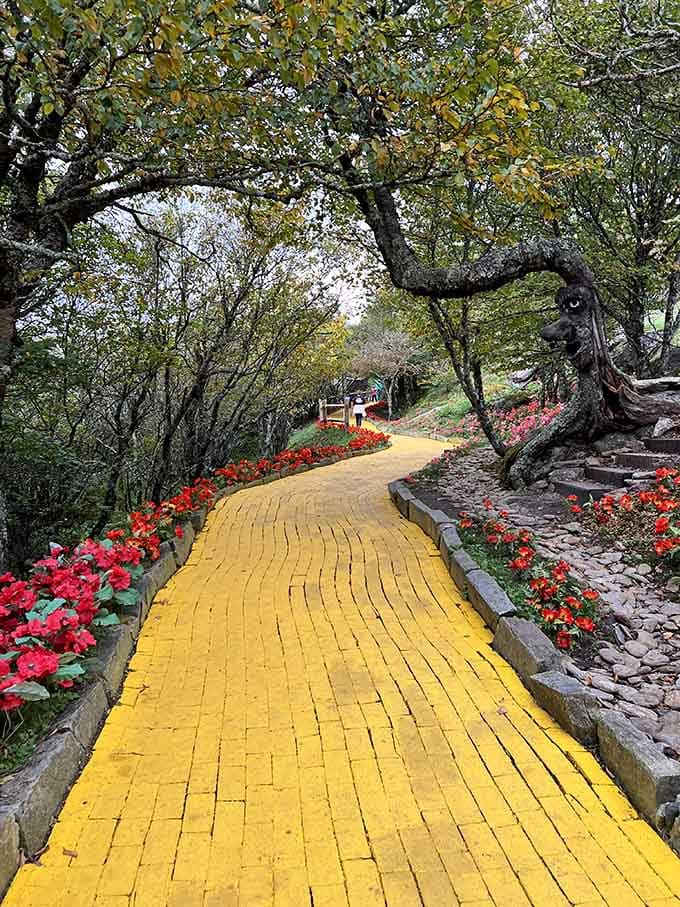 Ancient twisted trees arch over the golden path like nature's own cathedral welcoming Dorothy home at last.
