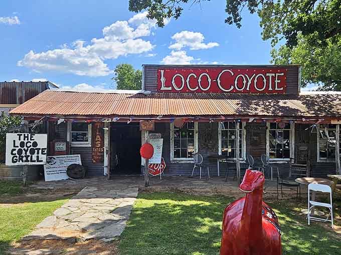 That giant red coyote statue out front isn't shy, and neither are the generous portions inside!