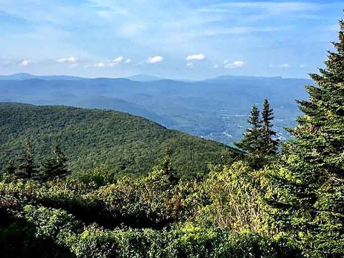 The summit view unfolds like a topographic map come to life, with valleys and peaks painting the horizon in endless green.