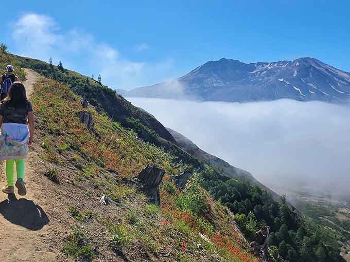 Mount St. Helens rises through morning fog, reminding us that nature writes the most dramatic stories.