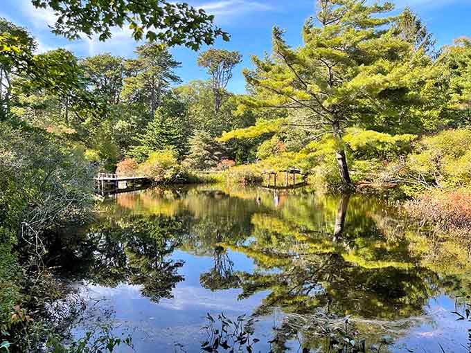Mirror-perfect reflections turn Mytoi's pond into a living watercolor that would make Monet jealous.
