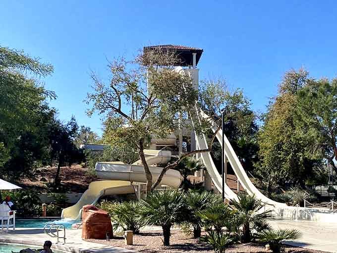 Desert landscaping meets water slides in this peaceful corner where palm trees provide shade and serenity reigns supreme.