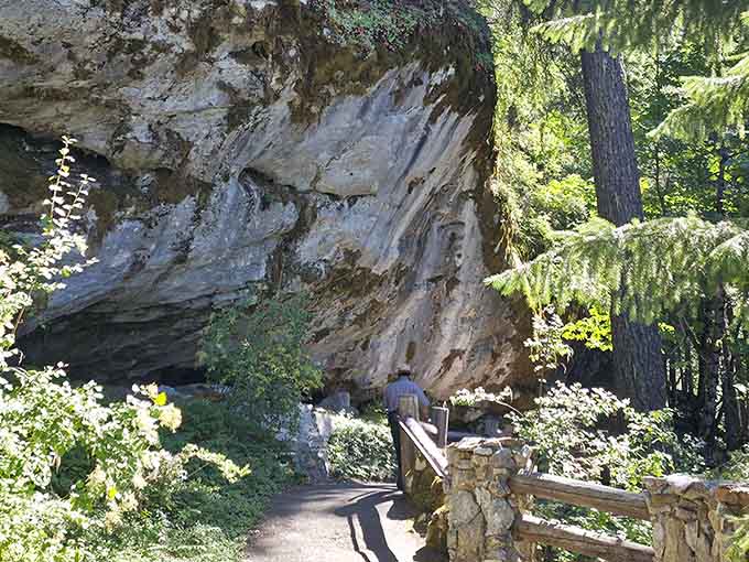 Ancient forest surrounds this cave opening, where moss-covered rocks and filtered sunlight create an almost mystical atmosphere.