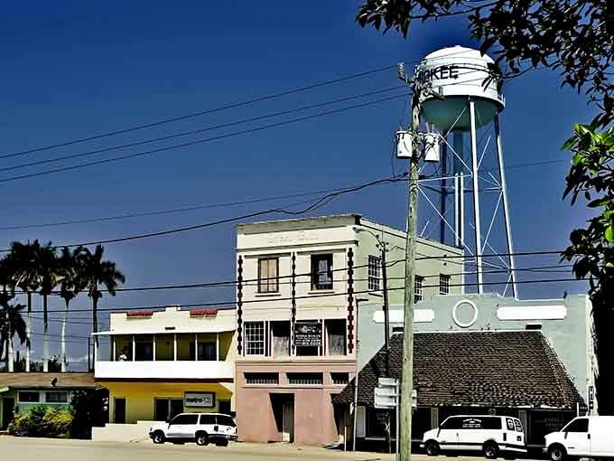 That classic water tower stands like a beacon saying "welcome home" to anyone seeking small-town charm and savings.
