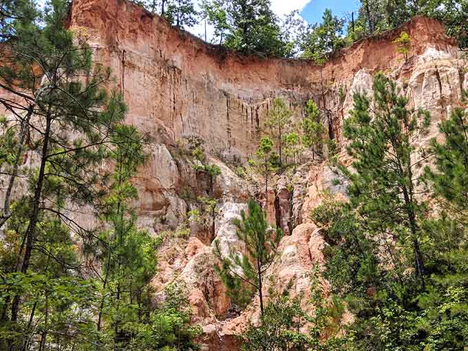 These towering canyon walls showcase erosion's artistry, carving dramatic formations that rival any Western landscape you've seen.