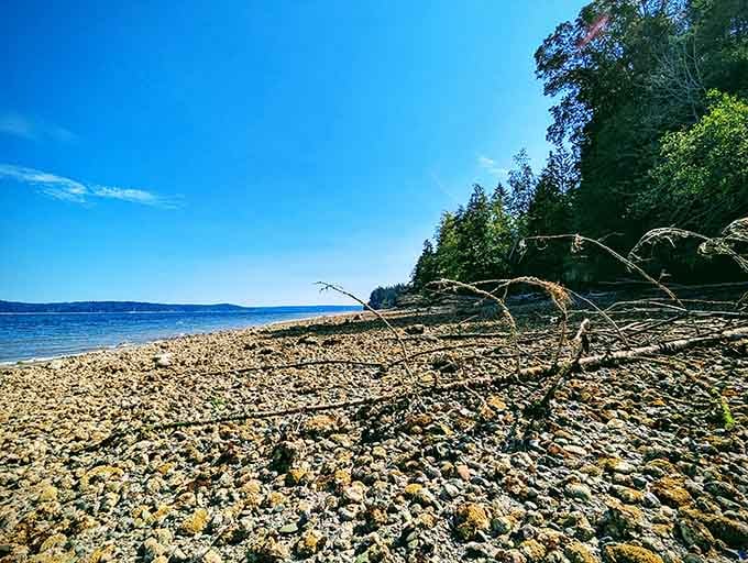Low tide reveals nature's treasure chest of shells and stones along this peaceful waterfront escape.