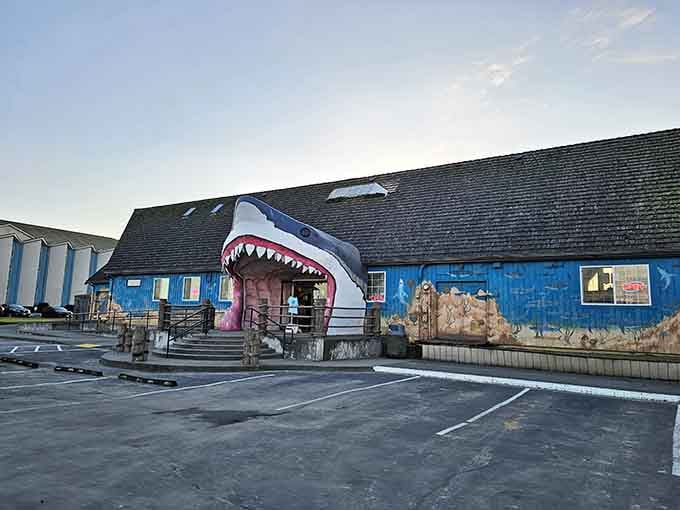 Those razor-sharp teeth frame the entrance perfectly, turning an ordinary meal into an unforgettable coastal experience worth sharing.