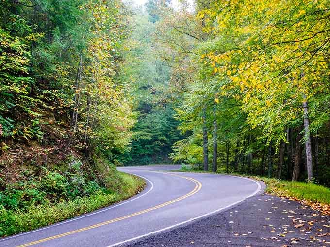 Early fall whispers through the trees as the pavement winds deeper into forests painted with gold and green.
