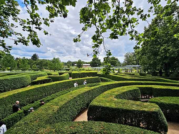 Getting lost in this living maze is the whole point, where perfectly trimmed hedges create pathways to peaceful discovery.
