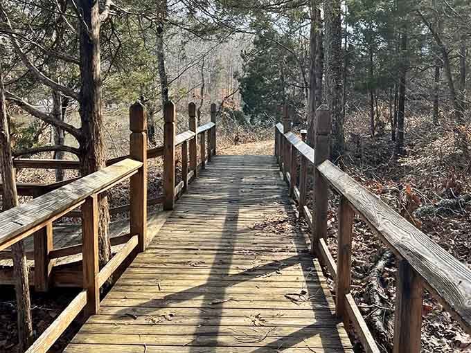 Sunlit boardwalk stretches through autumn leaves, promising adventure with every measured step forward.