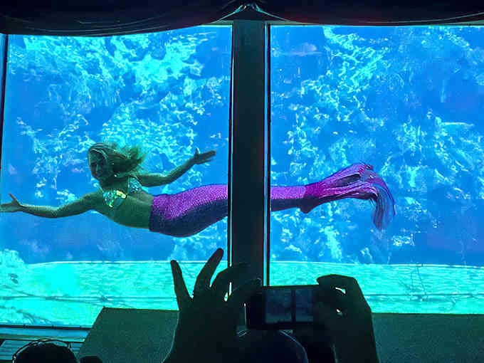 Through the underwater theater window, a mermaid performs ballet moves that would make Esther Williams jealous beyond measure.