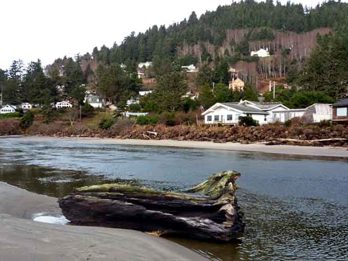 Driftwood sculptures dot the shore like abstract art while homes nestle into hillsides overlooking the moody Pacific.
