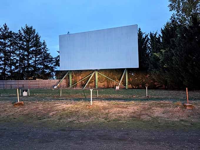 When the sun sets and that screen lights up, you're not just watching a movie, you're participating in living history.