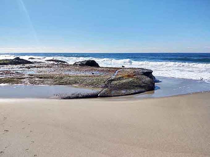 These tide pool rocks are nature's aquarium, minus the admission fee and overpriced gift shop.