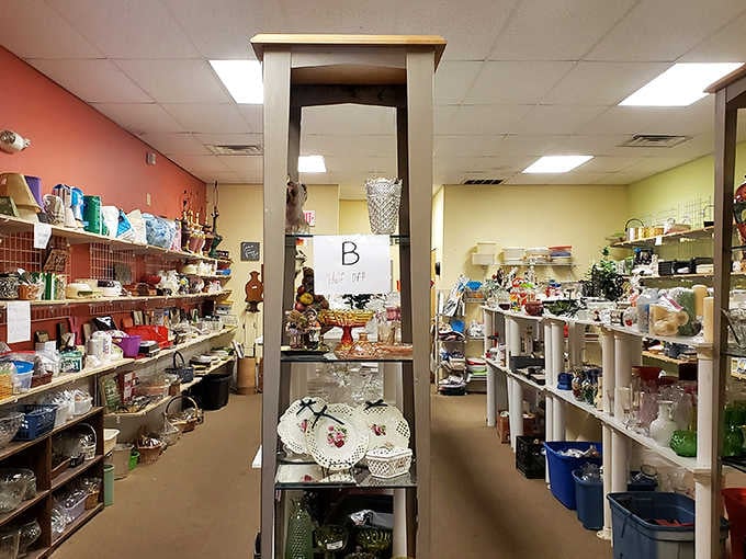 Bright walls and organized shelves prove thrift shopping doesn't mean settling for chaos and confusion.