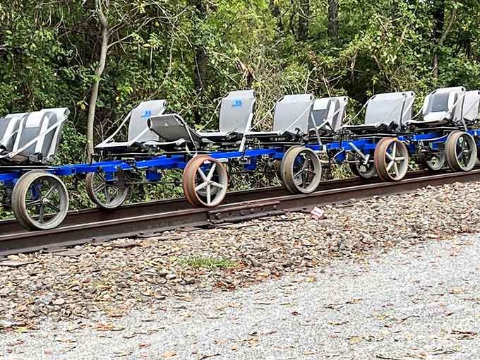 These sleek blue rail bikes lined up and ready remind you of a fleet waiting for adventure seekers.